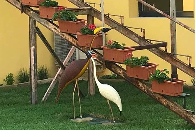 Friendinvenice Murano Burano Torcello Private Tours by Luxury Water Taxi - Pricing and Booking Details