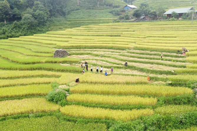 Friendly Sapa Village: 2 Days of Cultural Exchange & Trekking - Final Thoughts