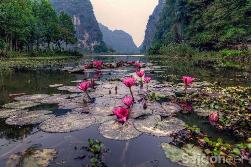 Friendly Travel: Ninh Binh/ Hoa Lu & Tam Coc/ Full Service - Who Will Love This Tour?