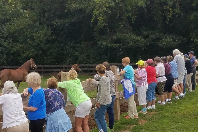 Friesian Herd Tours, Workshops, Classes and Retreats in the Kettle Moraine area. - Unveiling the Magic of Friesian Herd Tours in Wisconsin