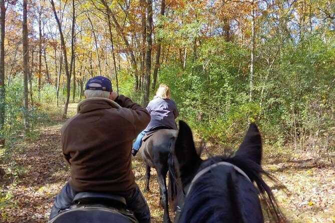 Friesian Herd Tours, Workshops, Classes and Retreats in the Kettle Moraine area. - Final Thoughts