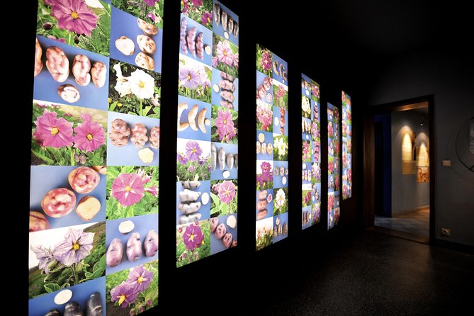 Frietmuseum Entrance Ticket - Exhibits and Features
