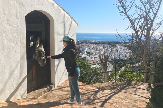 Frigiliana Small-Group Hike and Wine Tasting Tour From Malaga - Tapas and Local Flavors
