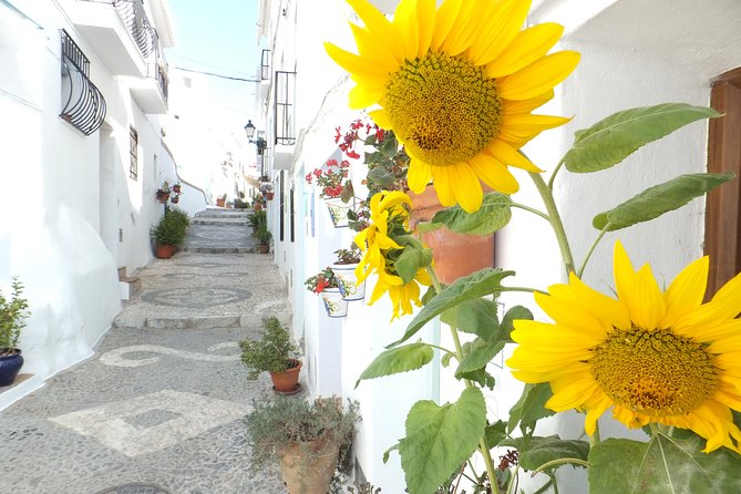 Frigiliana Small-Group Hike and Wine Tasting Tour From Malaga - Knowledgeable Local Guide