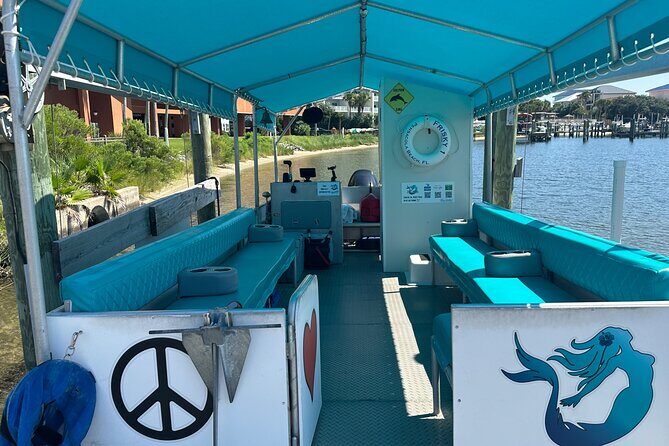 Frisky Mermaid Dolphin Tour + Secluded Beach + Equip - Key Points