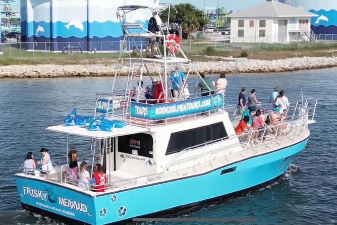 Frisky Mermaid Public Dolphin + Sightseeing Cruise Up to 49 Pax - What to Expect on the Itinerary