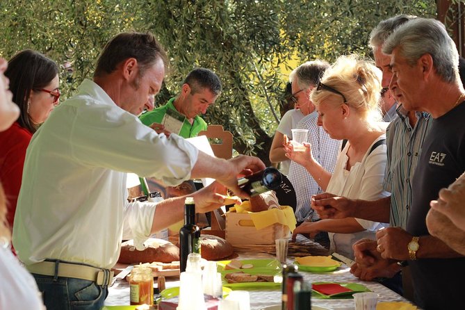 From Abano Montegrotto Olive Oil & Wine in the Euganean Hills - About Your Stay