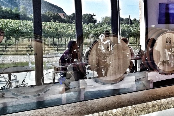 From Abano Montegrotto, Wine Tour in the Euganean Hills - Who Will Love This Tour?