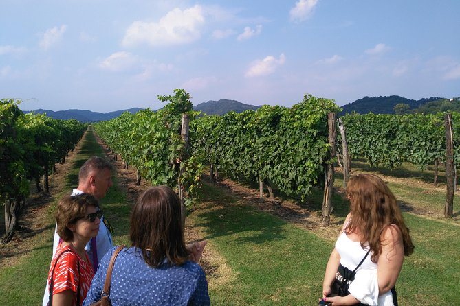 From Abano Montegrotto, Wine Tour in the Euganean Hills - FAQ