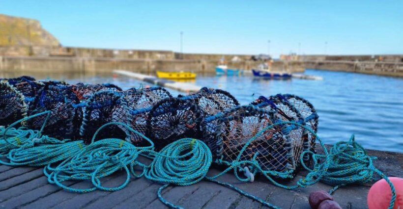 From Aberdeen: Coastal Villages of Aberdeenshire Tour - The Itinerary in Detail