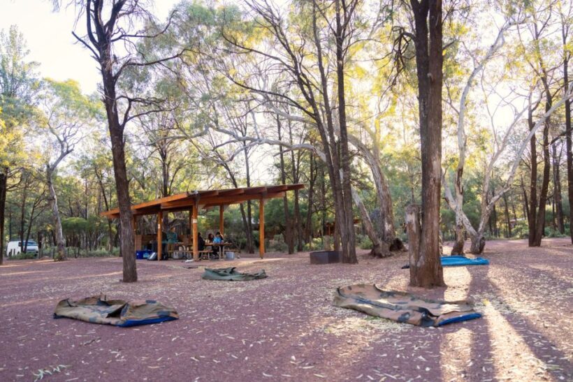From Adelaide: 7-Day Adventure Tour to Uluru - The Itinerary Breakdown