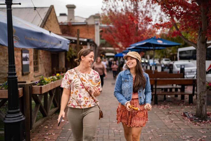 From Adelaide: Adelaide Hills, Hahndorf & Mount Lofty Tour - The Pros and Cons