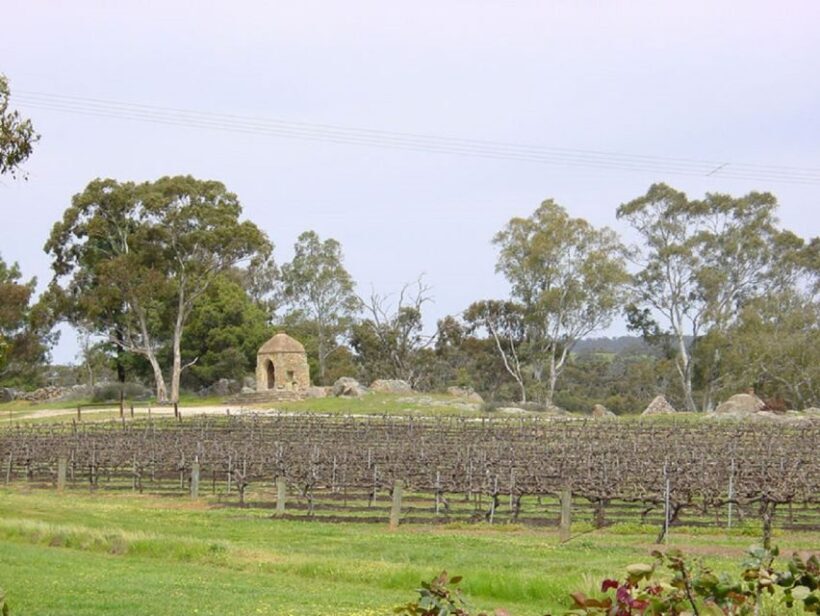 From Adelaide: Clare Valley Winery Tour - A Complete Look at the Clare Valley Winery Tour