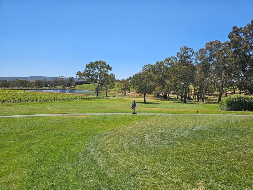 From Adelaide: Cuddle a Koala and Historic Hahndorf Tour - Tastings and Local Flavors