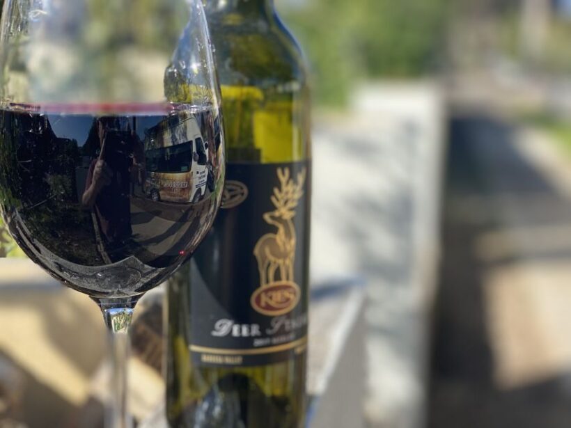 From Adelaide: McLaren Vale Winery Tour with Hahndorf Stop - An In-Depth Look at the Tour Experience