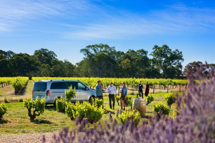 From Adelaide or Barossa: Boutique Barossa Valley Wine Tour - Why This Tour Offers Great Value