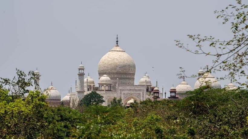 From Agra - Skip the Line: Taj Mahal & Agra Fort Tour by Car - An In-Depth Look at the Tour Experience