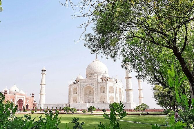 From Agra: Taj Mahal Sunrise Tour with Walk Inside the Mausoleum - The Sum Up