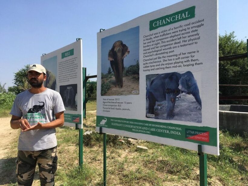 From Agra: Visit to Wildlife SOS Elephant Conservation Trip - FAQ