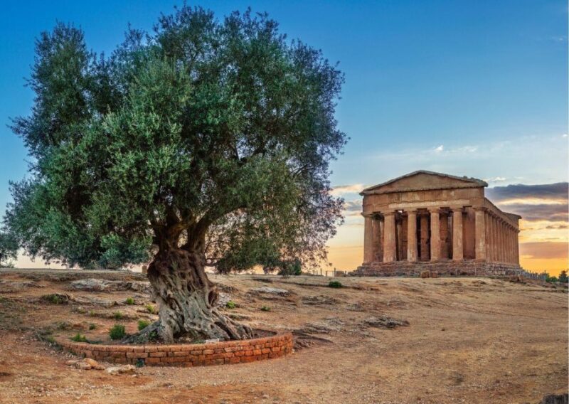 From Agrigento to Siracusa: Valley of Temples & Roman Villa - Key Points