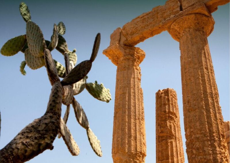 From Agrigento to Siracusa: Valley of Temples & Roman Villa - Who Will Love This Tour?