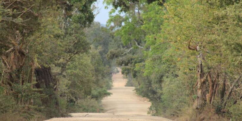 From: Ahungalla/Ambalangoda/Kosgoda/Balapitiya - YALA Safari - The Sum Up