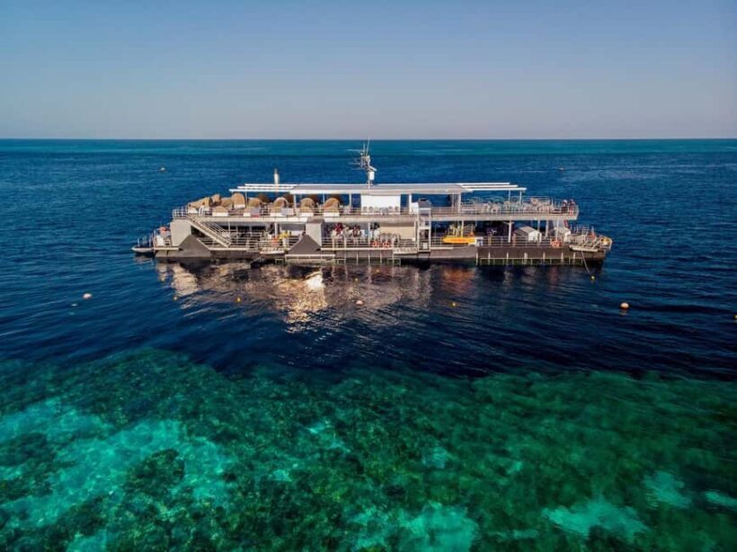 From Airlie Beach: Great Barrier Reef Pontoon Experience - Key Points