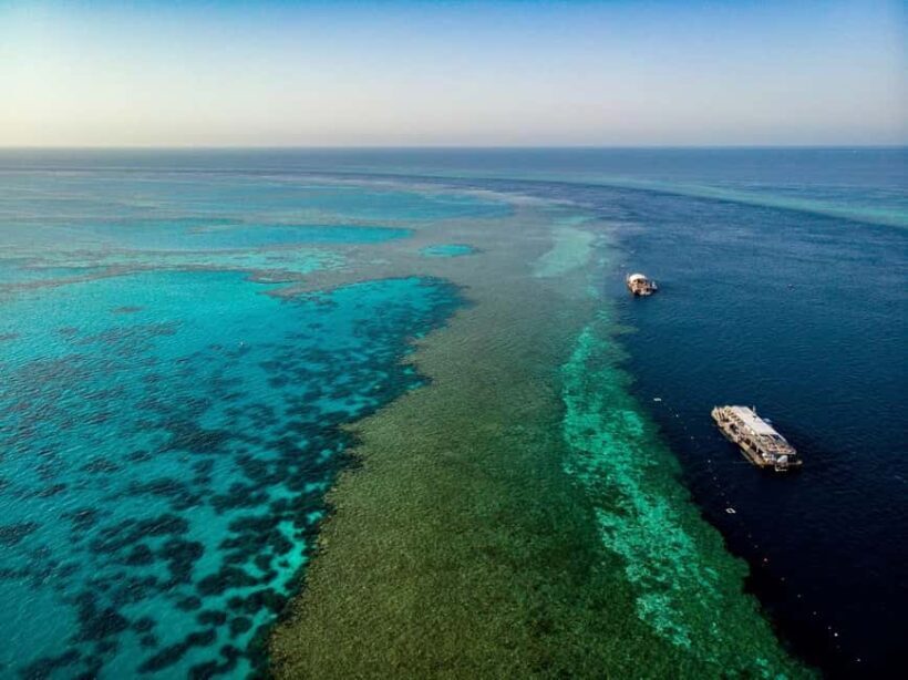 From Airlie Beach: Great Barrier Reef Pontoon Experience - Introduction to the Reef Experience