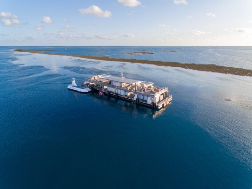 From Airlie Beach: Great Barrier Reef Pontoon Experience - FAQs
