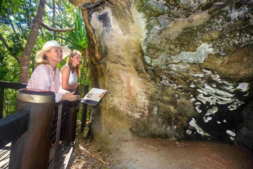 From Airlie Beach: Hook Island Cultural Tour, Sail & Snorkel - Nara Inlet: A Door into Indigenous Culture