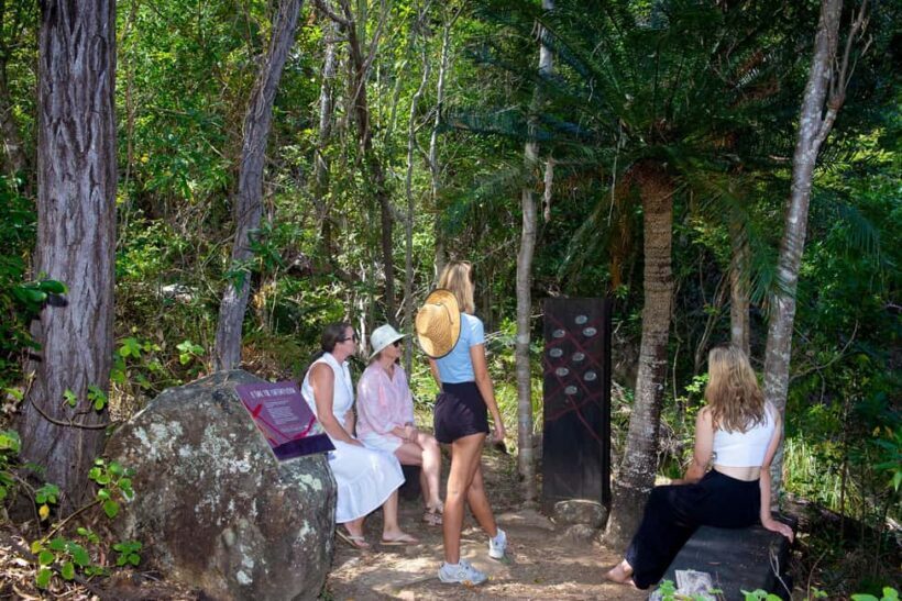 From Airlie Beach: Hook Island Cultural Tour, Sail & Snorkel - Who Will Love This Tour?