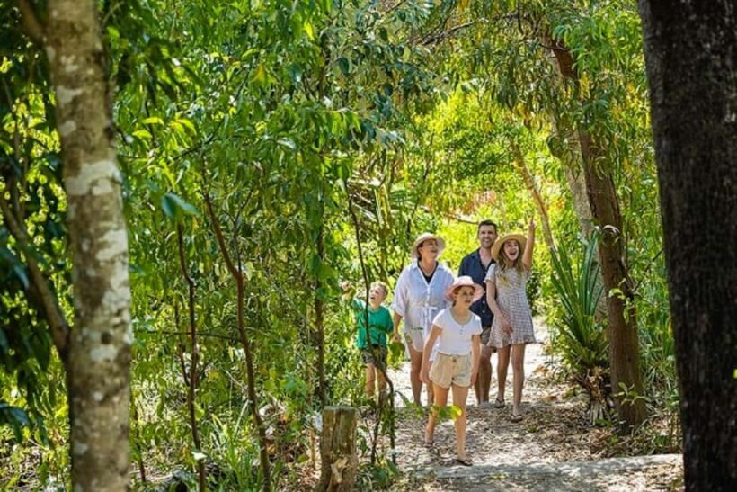 From Airlie: Whitsundays and Whitehaven Half-Day Cruise - Frequently Asked Questions
