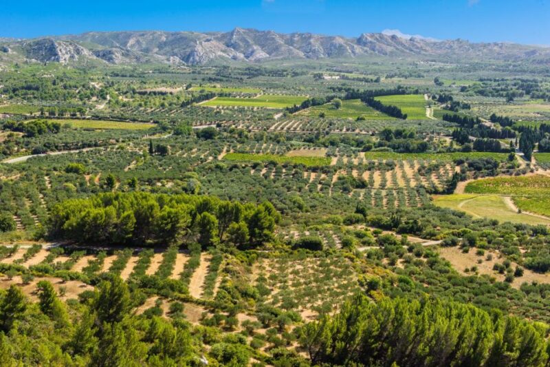 From Aix : Arles, Saint Rémy, & Les Baux Provence Day Trip - Who Would Enjoy This Tour?