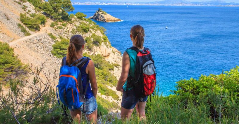 From Aix: Cassis Boat Ride & Provence Wine Tasting Day Tour - Key Points