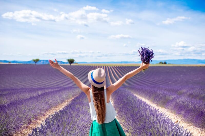 From Aix: Day Trip to Valensole Lavender Fields in Provence - Authentic Experiences and Authentic Reviews