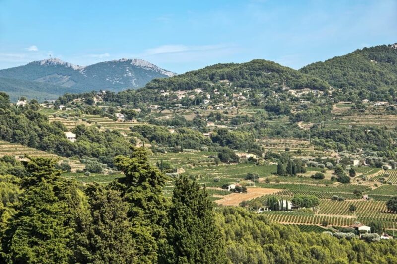 From Aix en Provence: Bandol & Cassis Full-day Wine Tour - Key Points