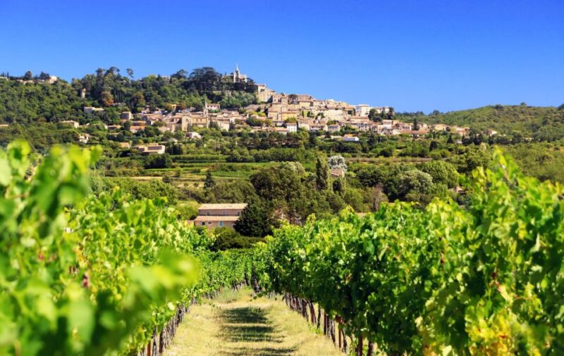 From Aix-en-Provence: Châteauneuf du Pape Wineries Day Trip - Analyzing the Value