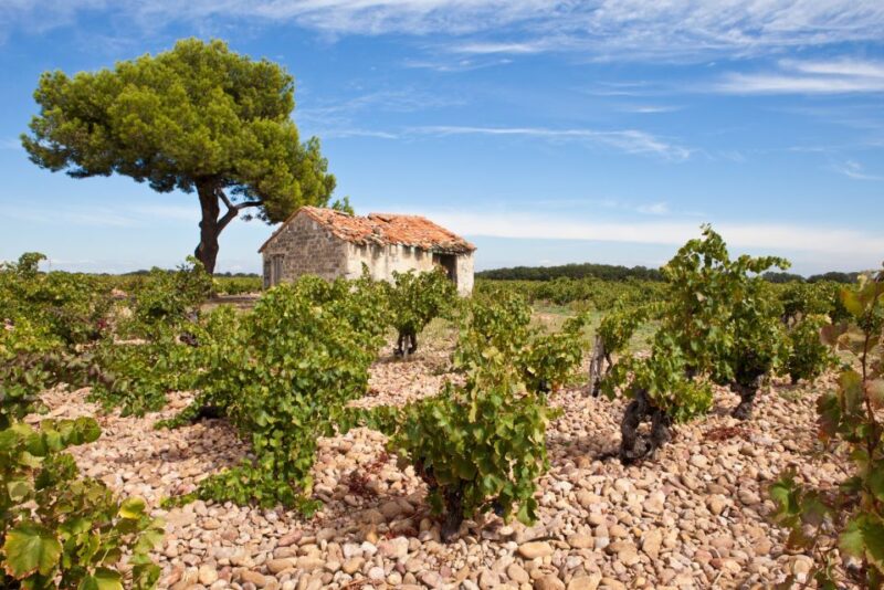 From Aix-en-Provence: Châteauneuf du Pape Wineries Day Trip - The Sum Up