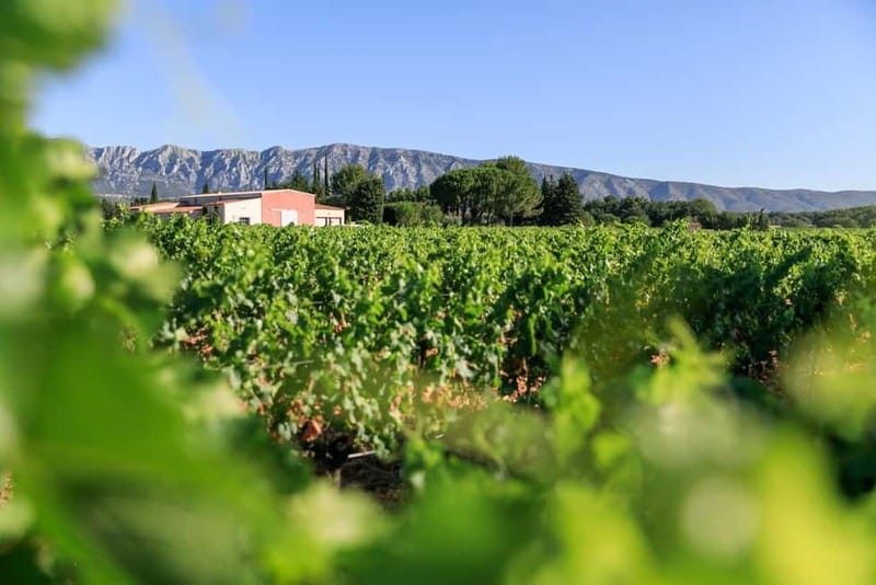 From Aix en Provence: Half-day Wine Tour in Provence - Key Points