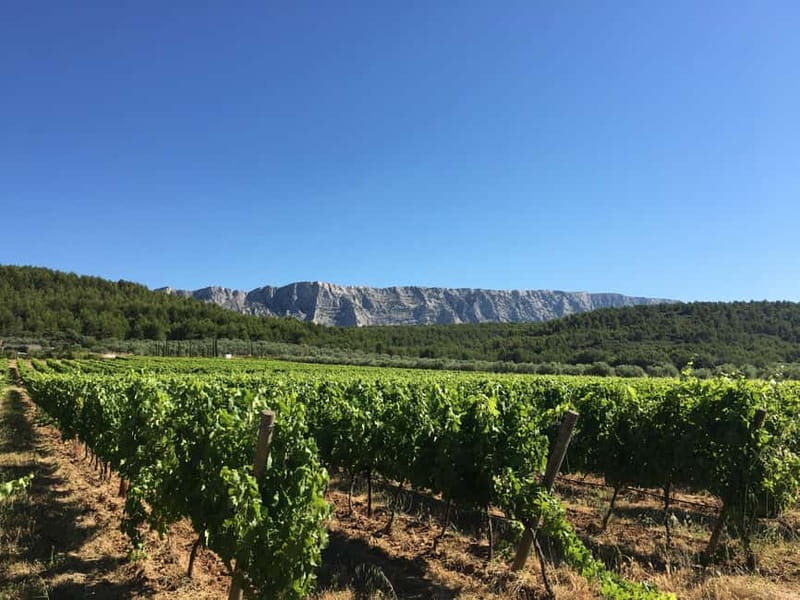 From Aix en Provence: Half-day Wine Tour in Provence - What Makes This Tour Stand Out?