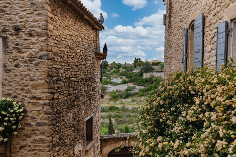 From Aix-en-Provence: Luberon Region E-Bike Full-Day tour - What Does the Tour Include and Exclude?