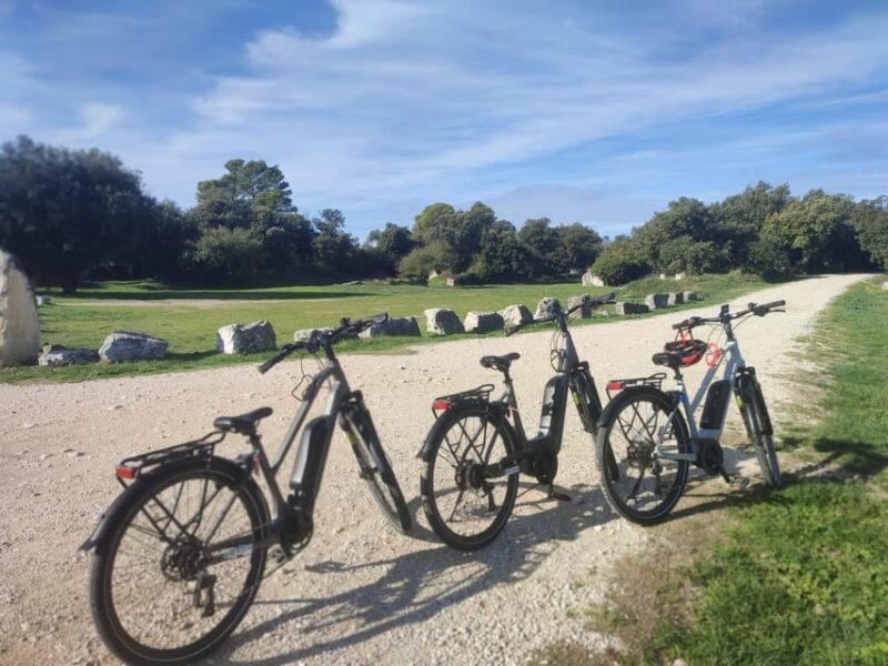 From Aix-en-Provence: Luberon Region E-Bike Full-Day tour - Authentic Reviews and What Travelers Love