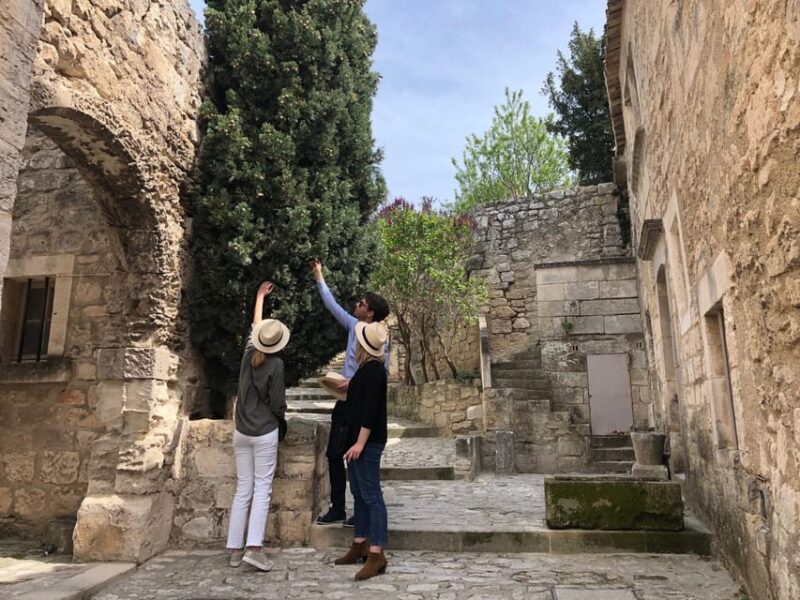 From Aix-en-Provence: Provence Region Tour with Wine Tasting - Who Should Consider This Tour?