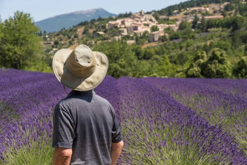 From Aix-en-Provence: Sault Lavender & Gordes Full-Day Tour - The Sum Up: Is This Tour Right for You?