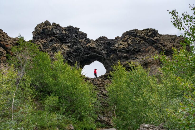 From Akureyri: Myvatn Lake, Craters, & Waterfall Tour - Final Thoughts