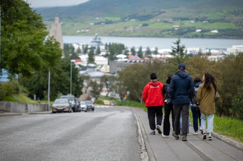 From Akureyri Port: City Walk & Local Food - Practical Details and Value