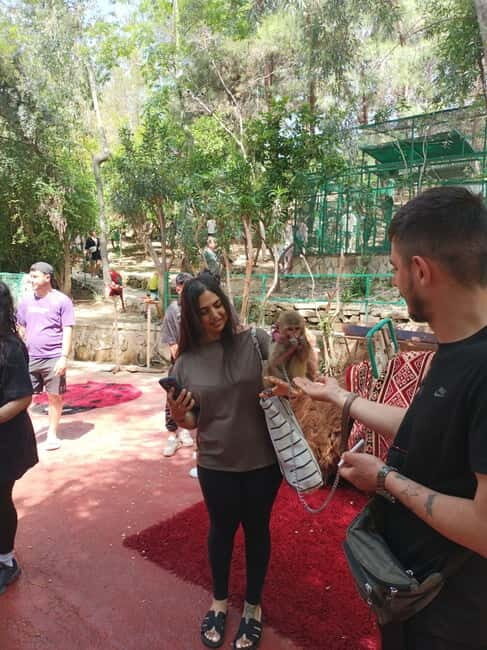 From Alanya: Lion Safari & Green Canyon Splash Feast w/Lunch - Real Traveler Perspectives