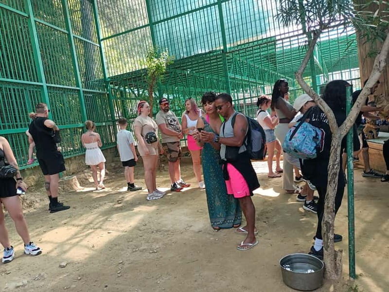 From Alanya: Lion Safari & Green Canyon Splash Feast w/Lunch - FAQ