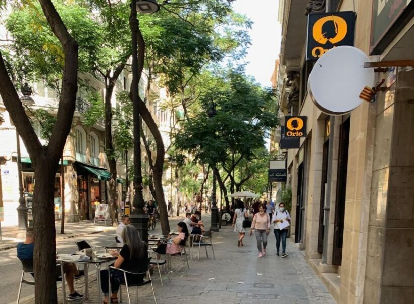 From Albir, Altea, Benidorm & Calpe: Valencia City Excursion - Price and Value Analysis
