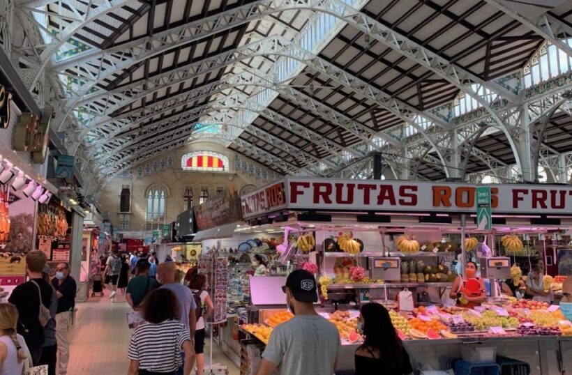 From Albir, Altea, Benidorm & Calpe: Valencia City Excursion - Practical Tips for Travelers